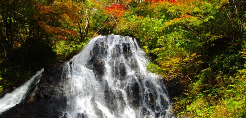 To Do | Sakata Tourism｜Sakata City, Yamagata Prefecture