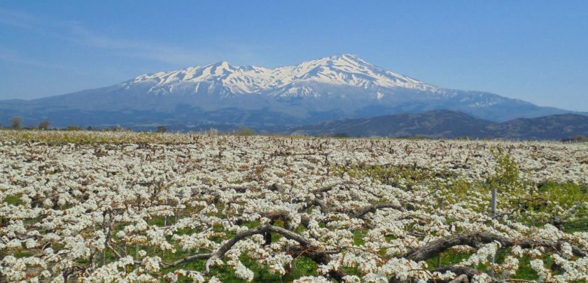 Mt Chokai | Sakata Tourism｜Sakata City, Yamagata Prefecture