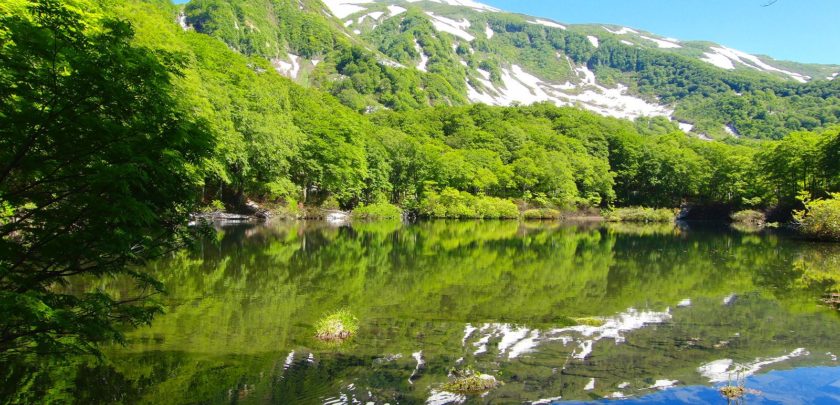 To Do | Sakata Tourism｜Sakata City, Yamagata Prefecture