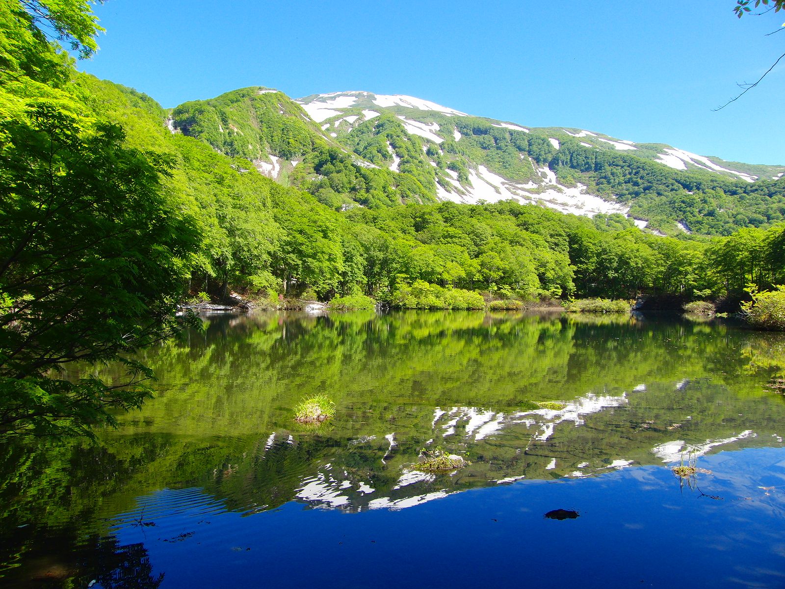 Tsuruma Pond | Sakata Tourism｜Sakata City, Yamagata Prefecture